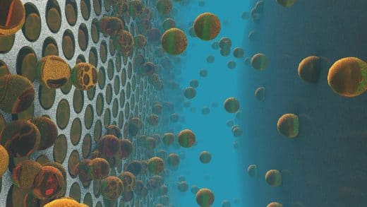 Higher Drying Efficiency Of Whey Protein With Membrane Foaming Tech