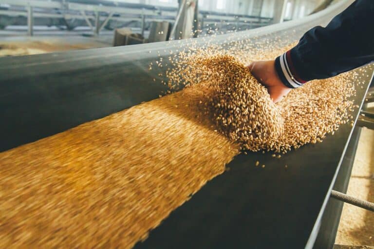Seven Things to Consider When Improving Moisture Control in Food Production