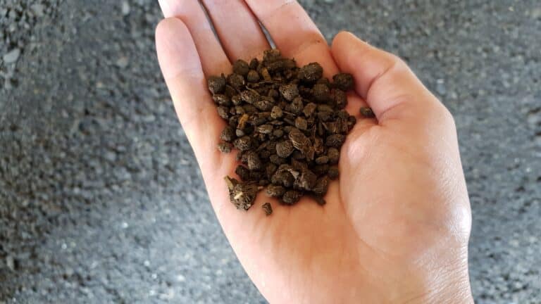 Controlling Moisture In Digestate • BulkInside