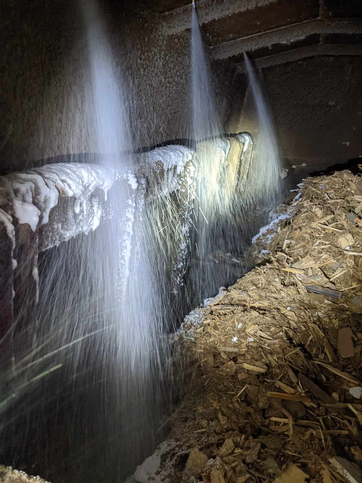 Applying Freko-Foam to Biomass • BulkInside