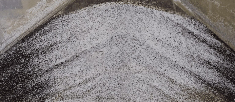 Segregation to Homogeneity: The Science of Particle Control • BulkInside