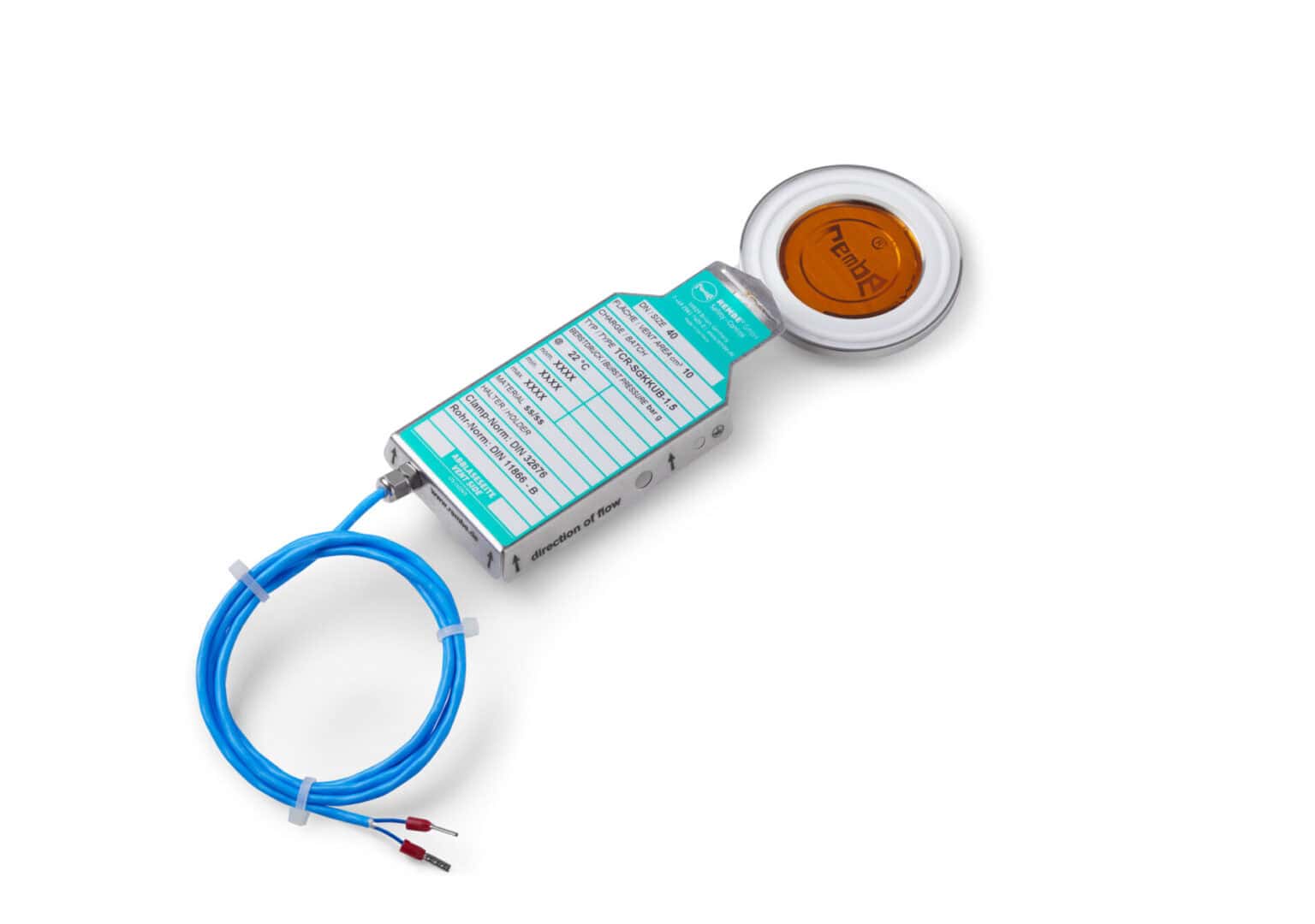 REMBE Rupture Discs in Hygienic Design • BulkInside
